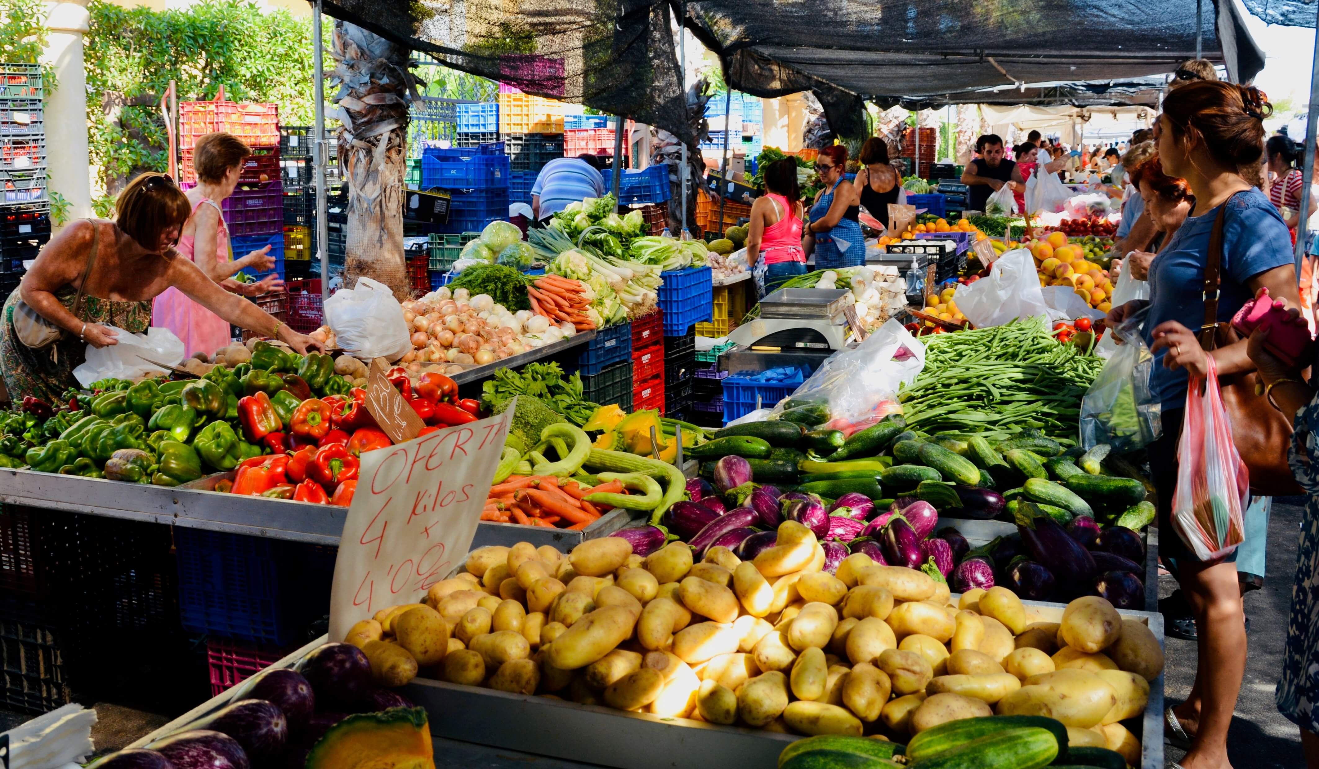 Hitta marknader i Torrevieja – evergren